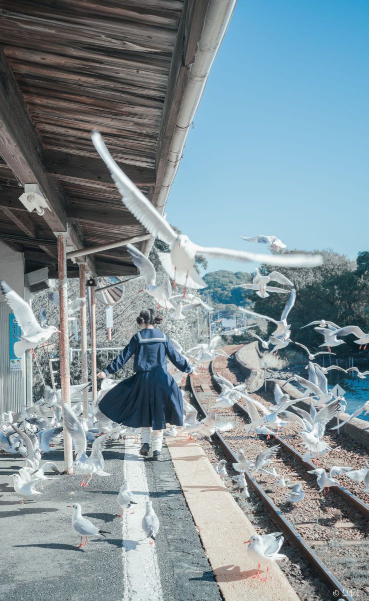 LUB08622-Edit-Edit.jpg | GANREF