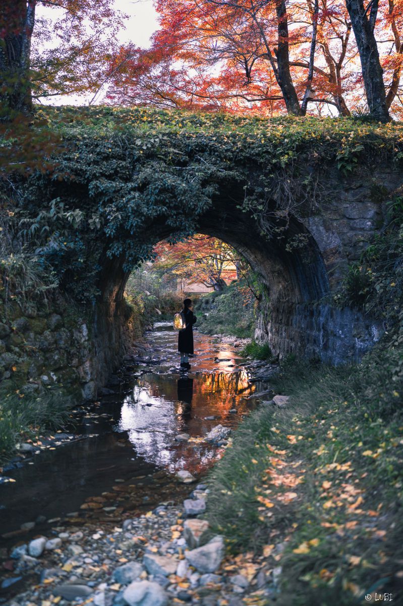 🍁🍁學校門前🍁🍁 | GANREF