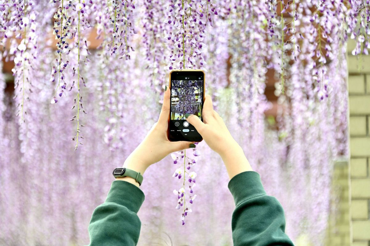 FUJI in focus | GANREF