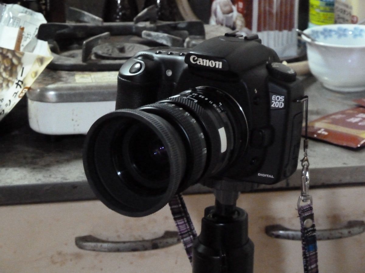 L1010544.JPG Canon EOS 20D ですー^^ | GANREF