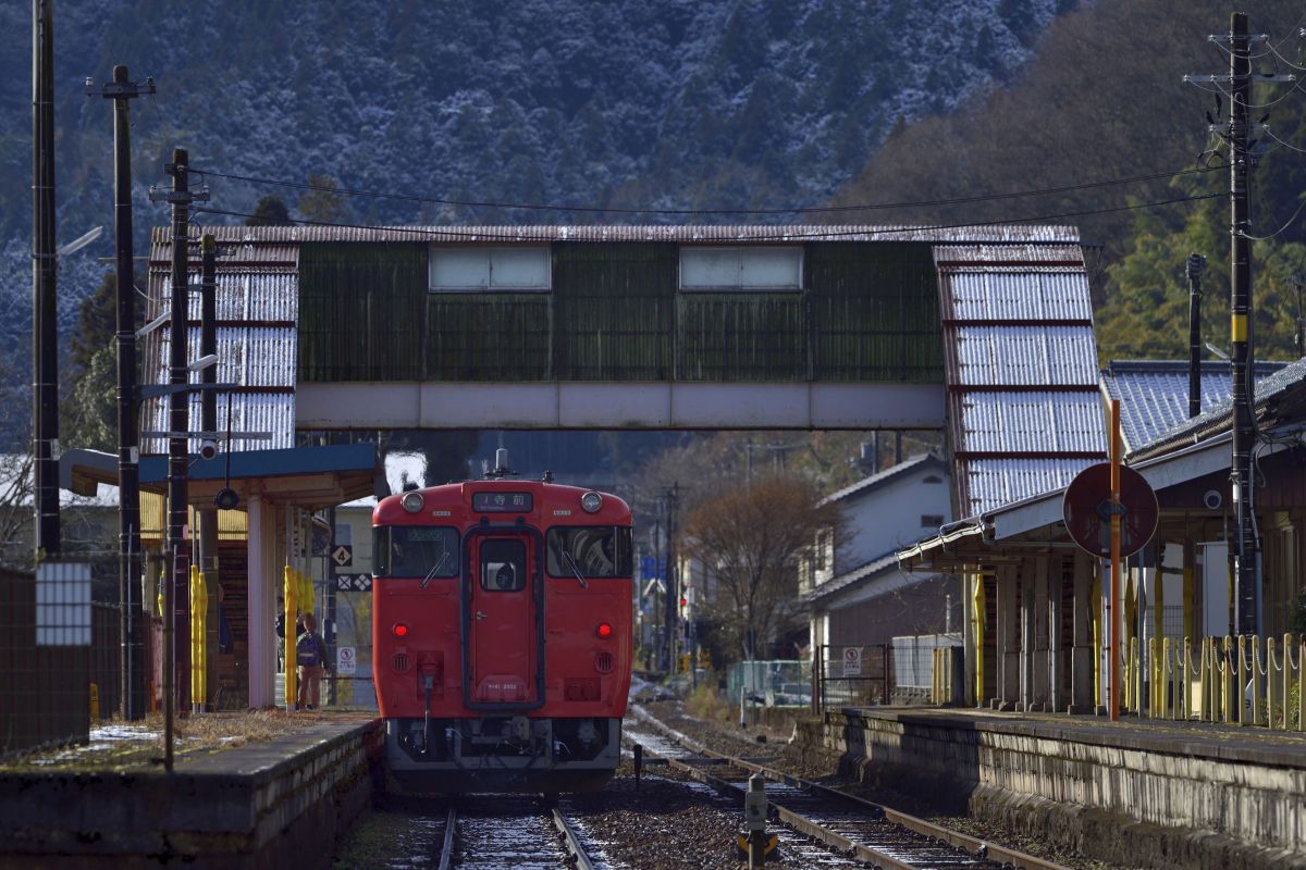 薄っすら雪化粧 」 | GANREF