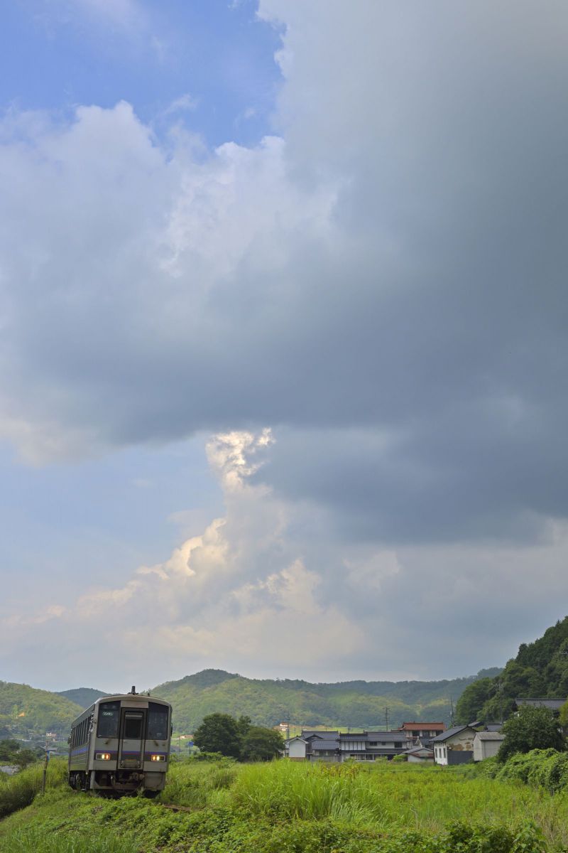 嵐の予感 」 | GANREF