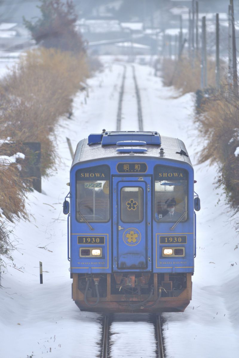 冬のストレート 」 | GANREF