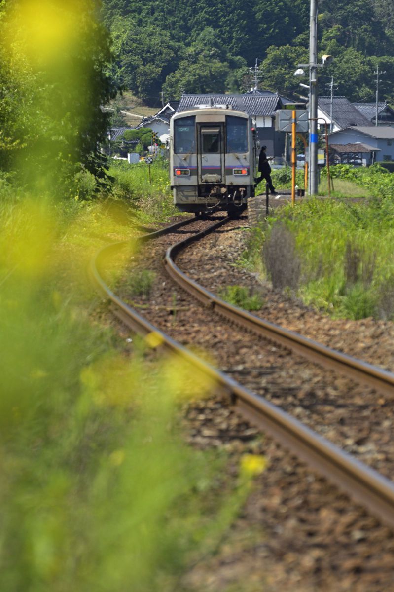 陽炎の向こう 」 | GANREF