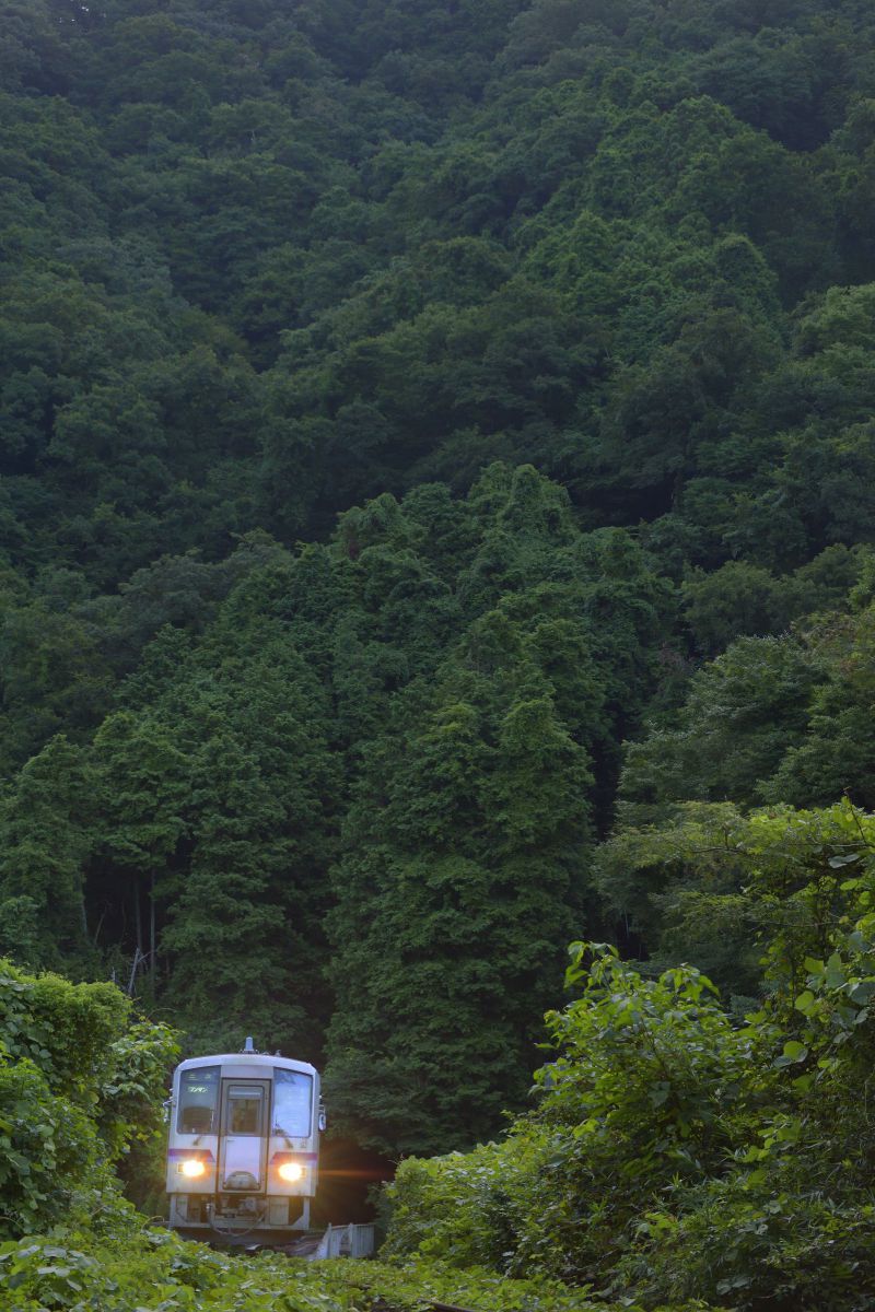 森を抜けて 」 | GANREF