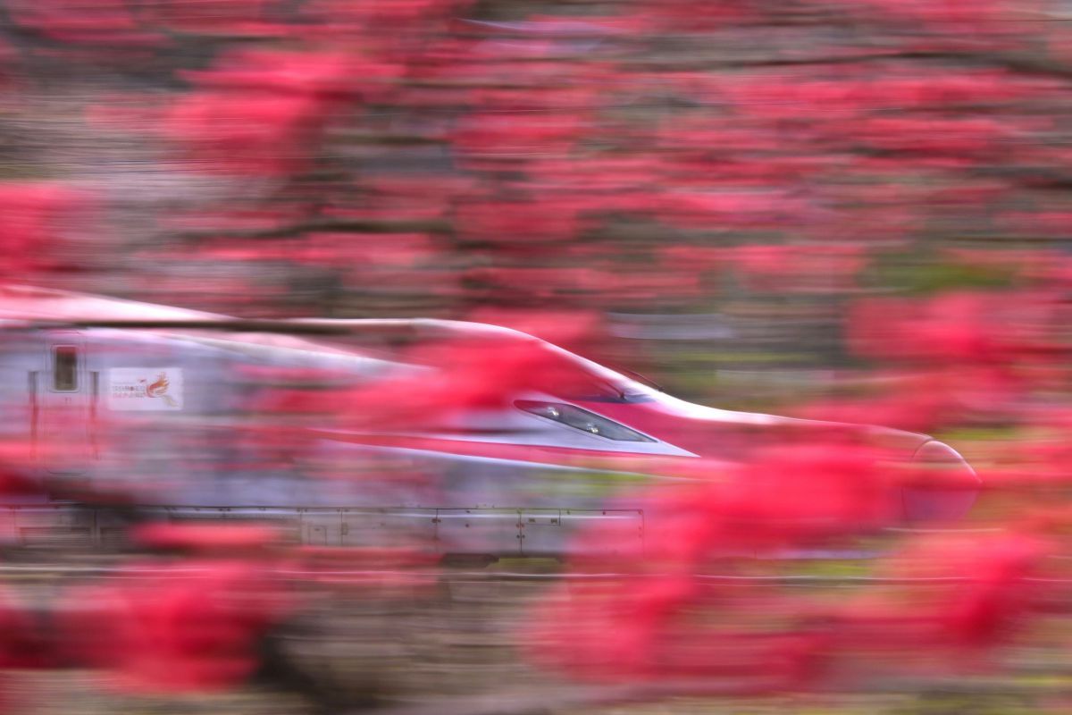 MAY_9624_0144_0187.JPG | GANREF