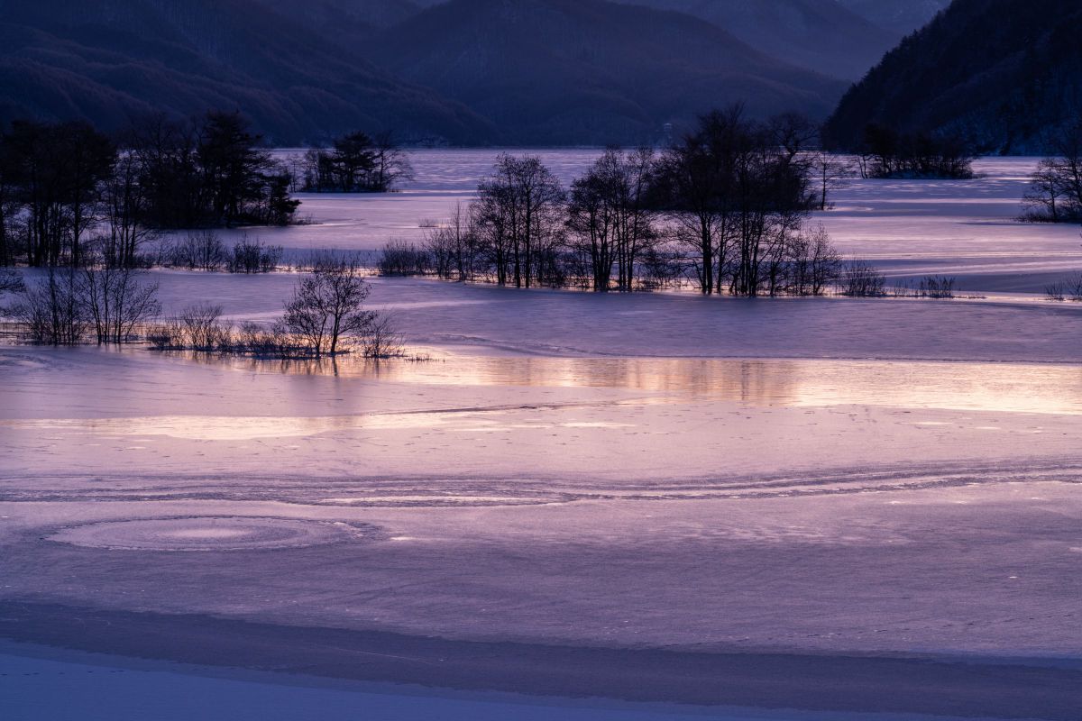 purple hour | GANREF