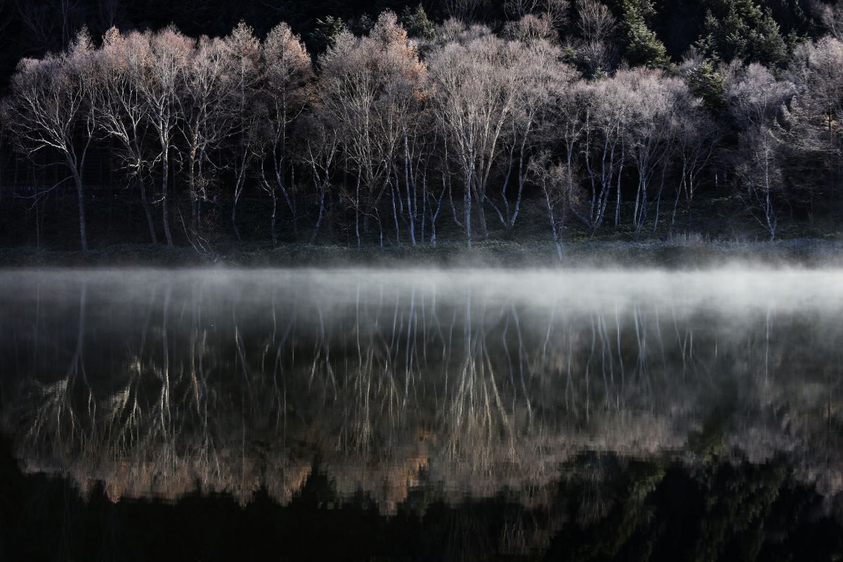 注目製品レビュー～エプソン EP-10VA 編～ 4．作品印刷 | GANREF