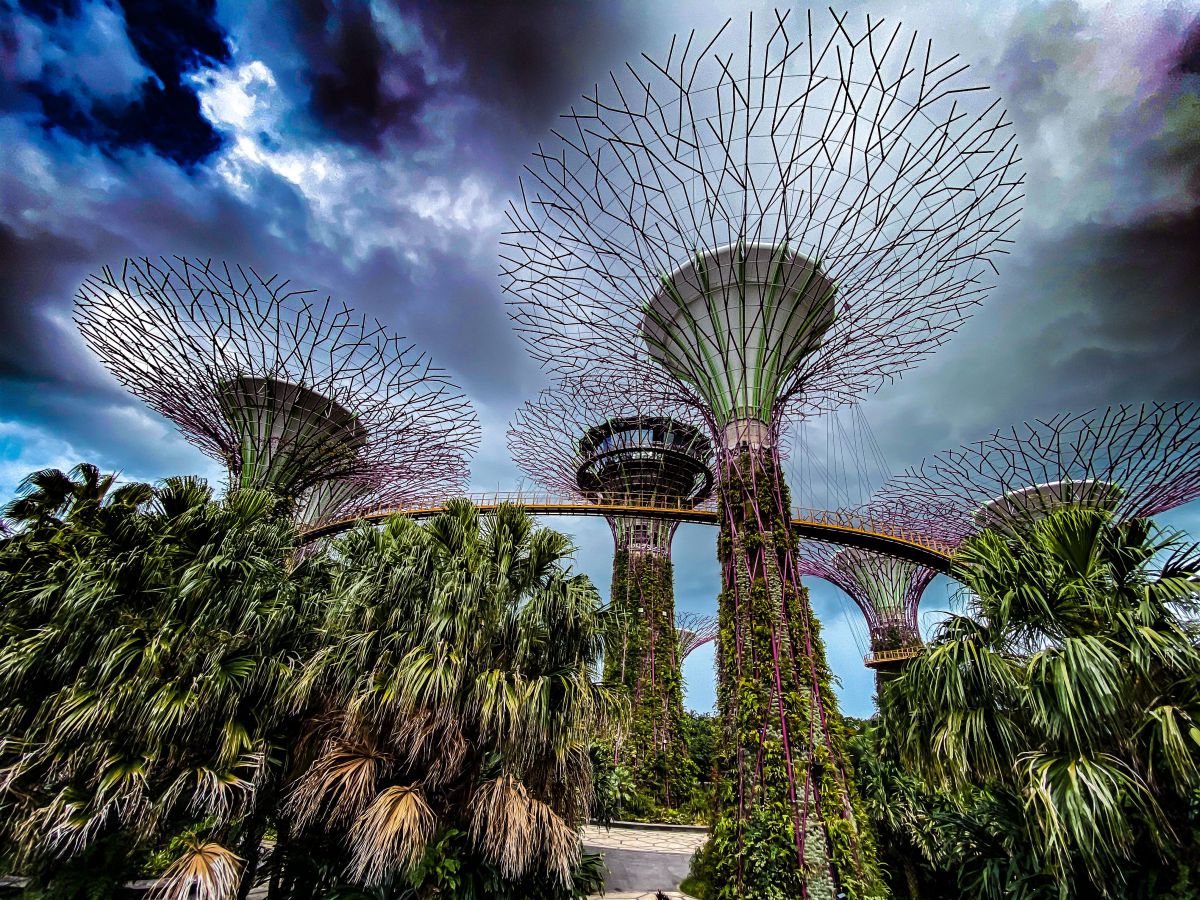 Gardens by the bay | GANREF