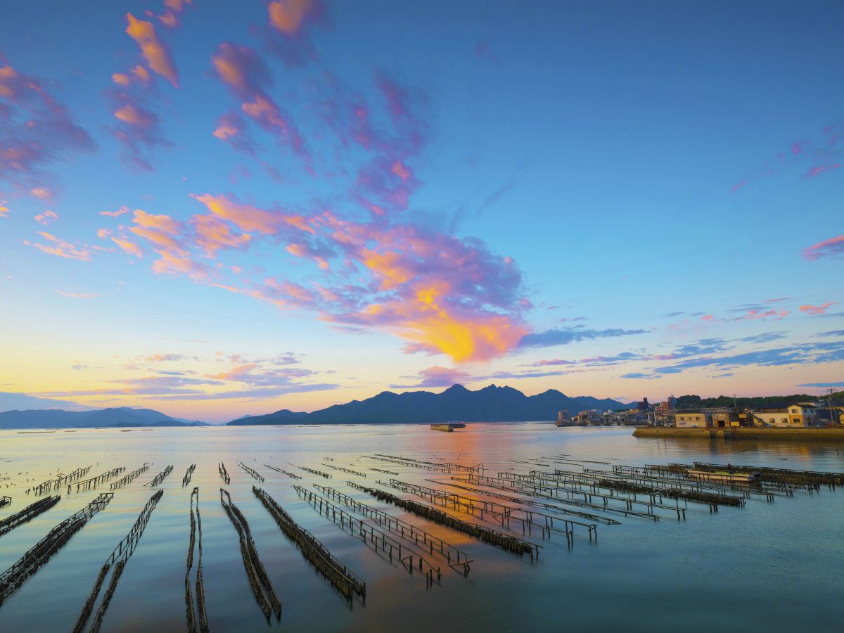 N A K A S I O | GANREF