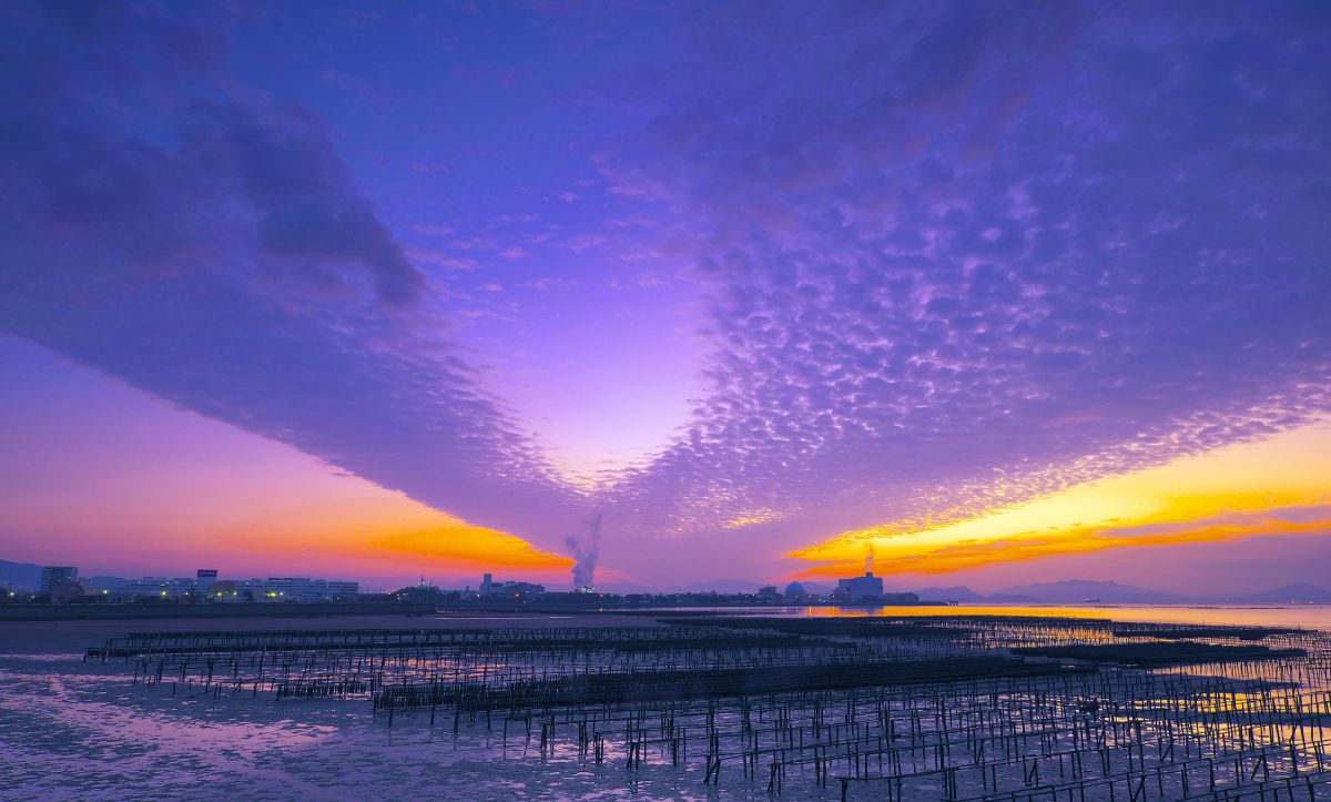 夜明けのV | GANREF