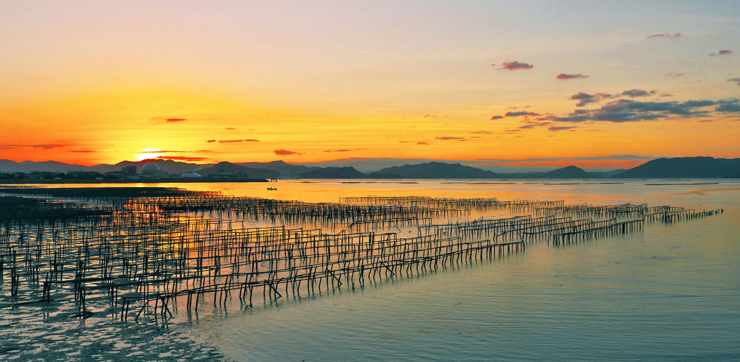 夜明けの地御前ーC | GANREF