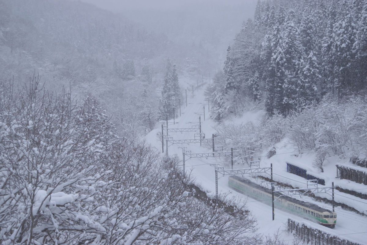 White&White | GANREF