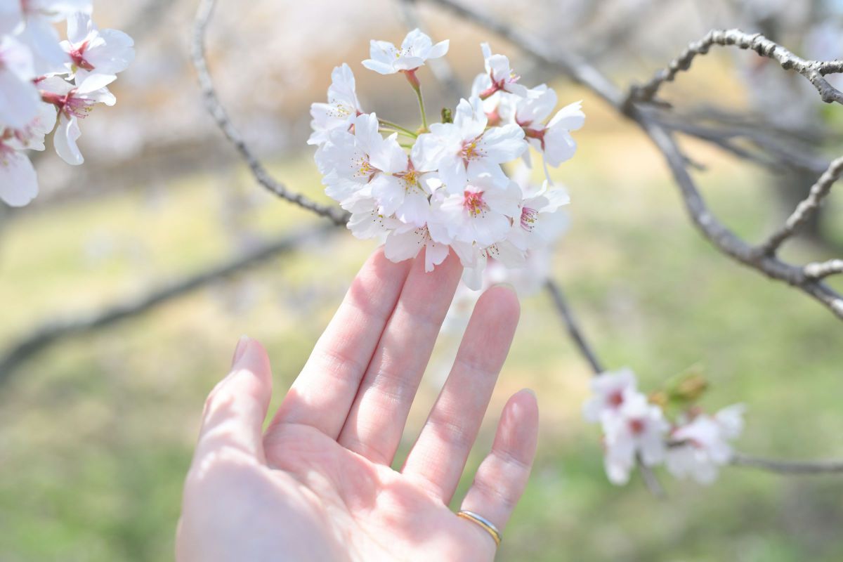 撮り納め | GANREF