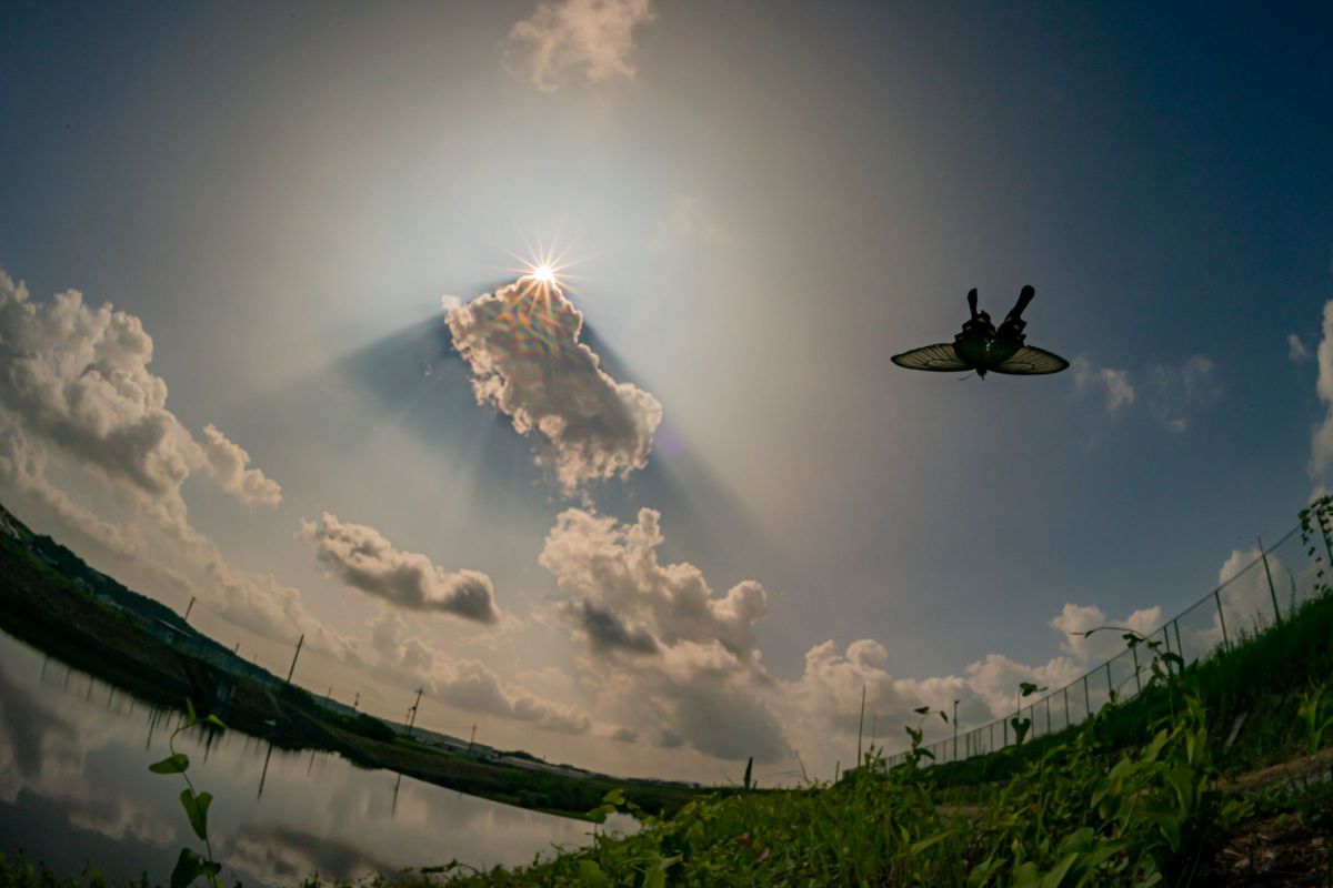 光とともに | GANREF