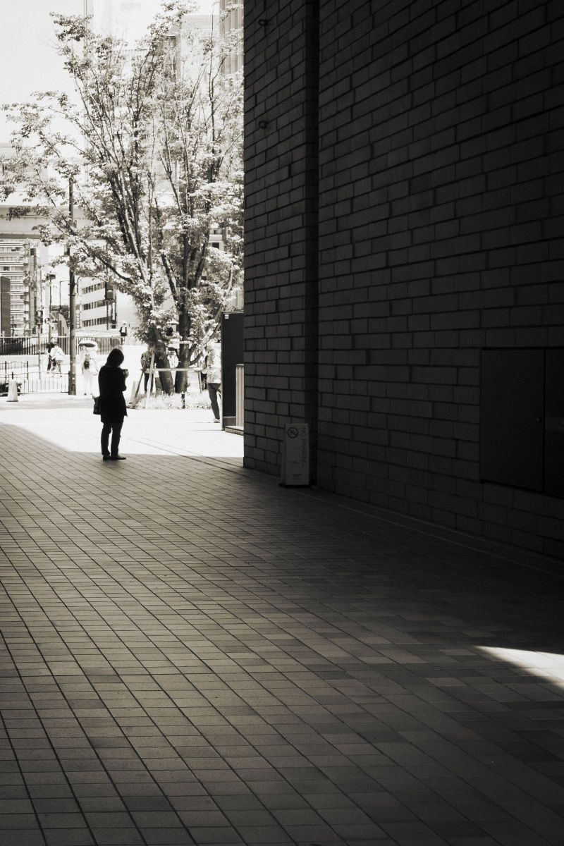 Shade Season | GANREF