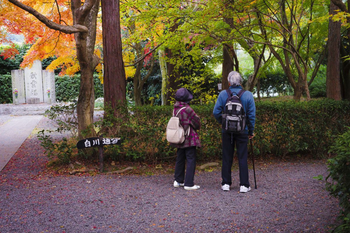 伴侶と一緒に境内鑑賞 | GANREF