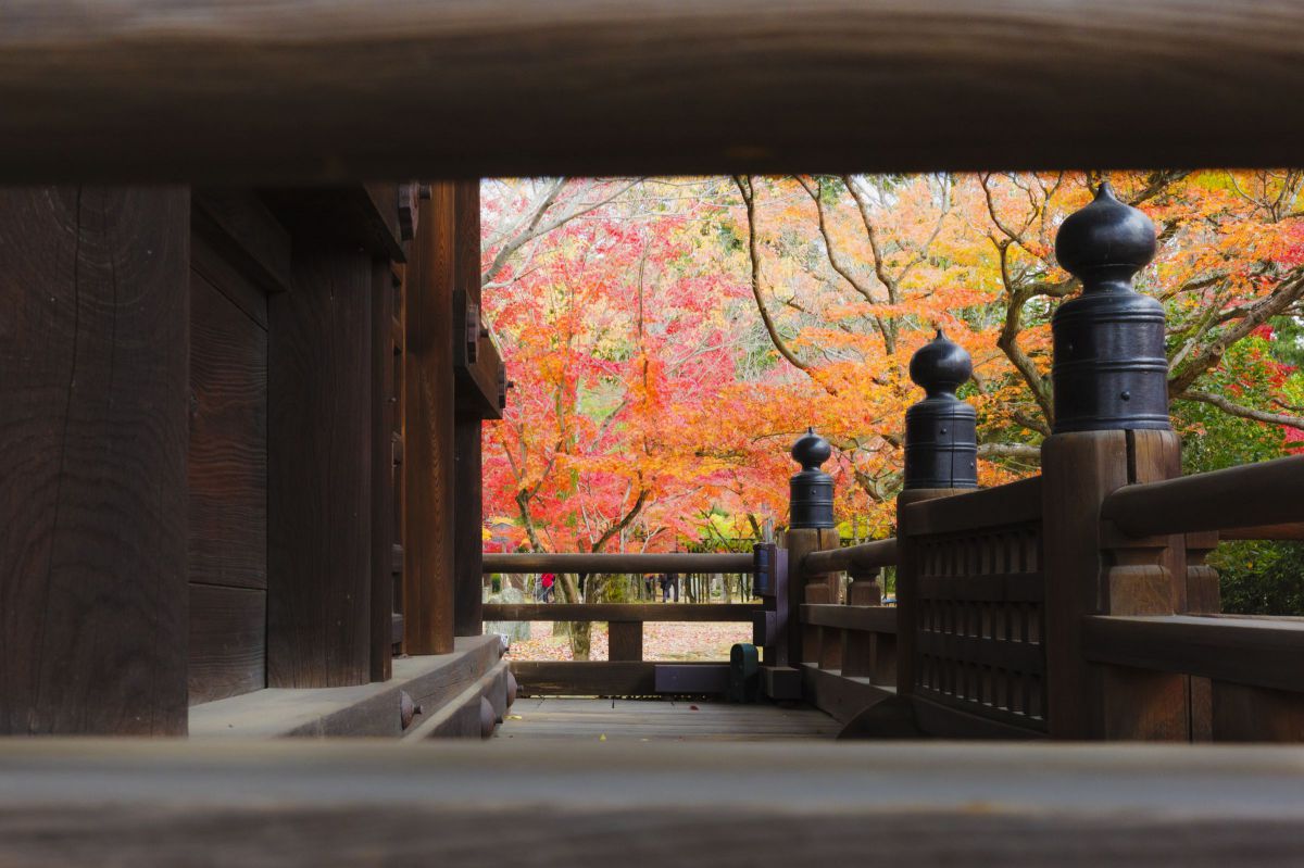 錦秋の境内 | GANREF