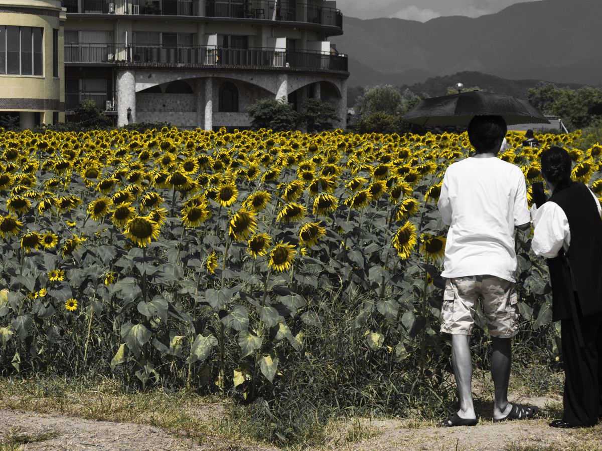 夏バテ気味 | GANREF