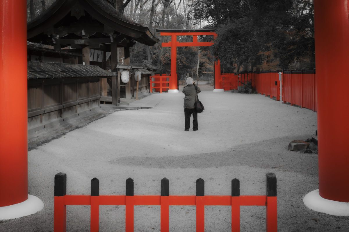 朱色の世界 | GANREF