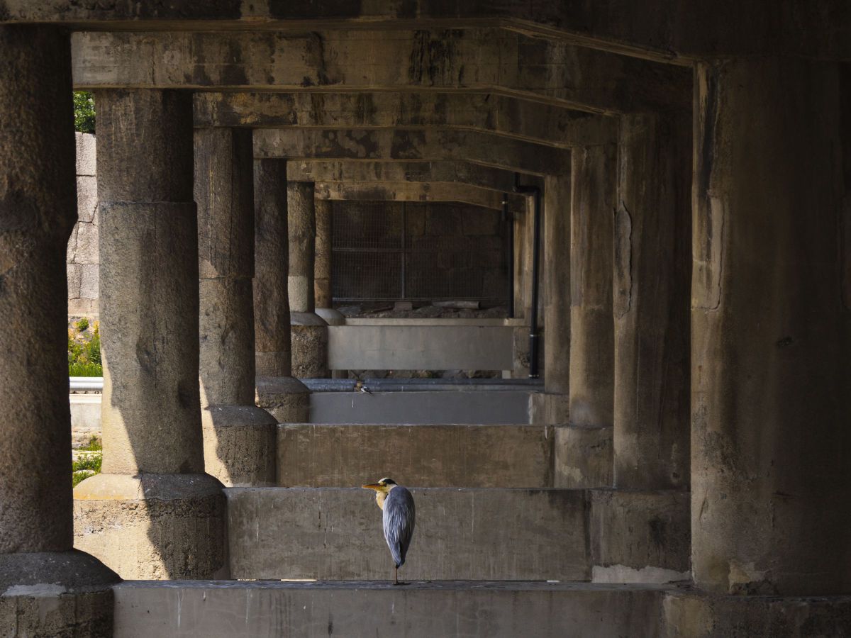 ココがお気に入り | GANREF