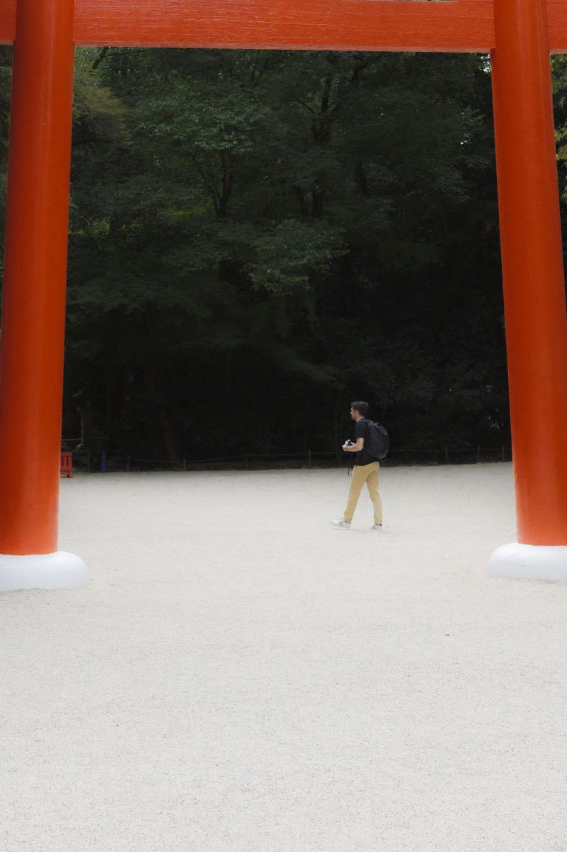 鳥居の向こう | GANREF