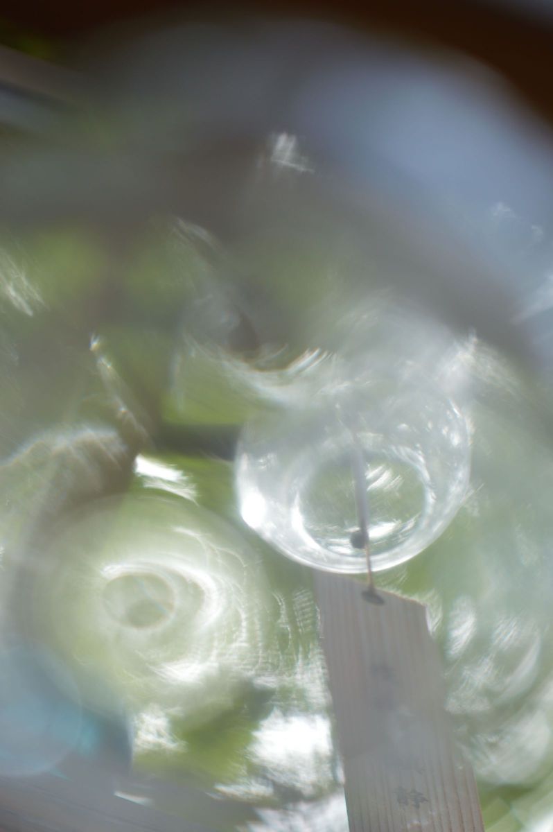 See through | GANREF