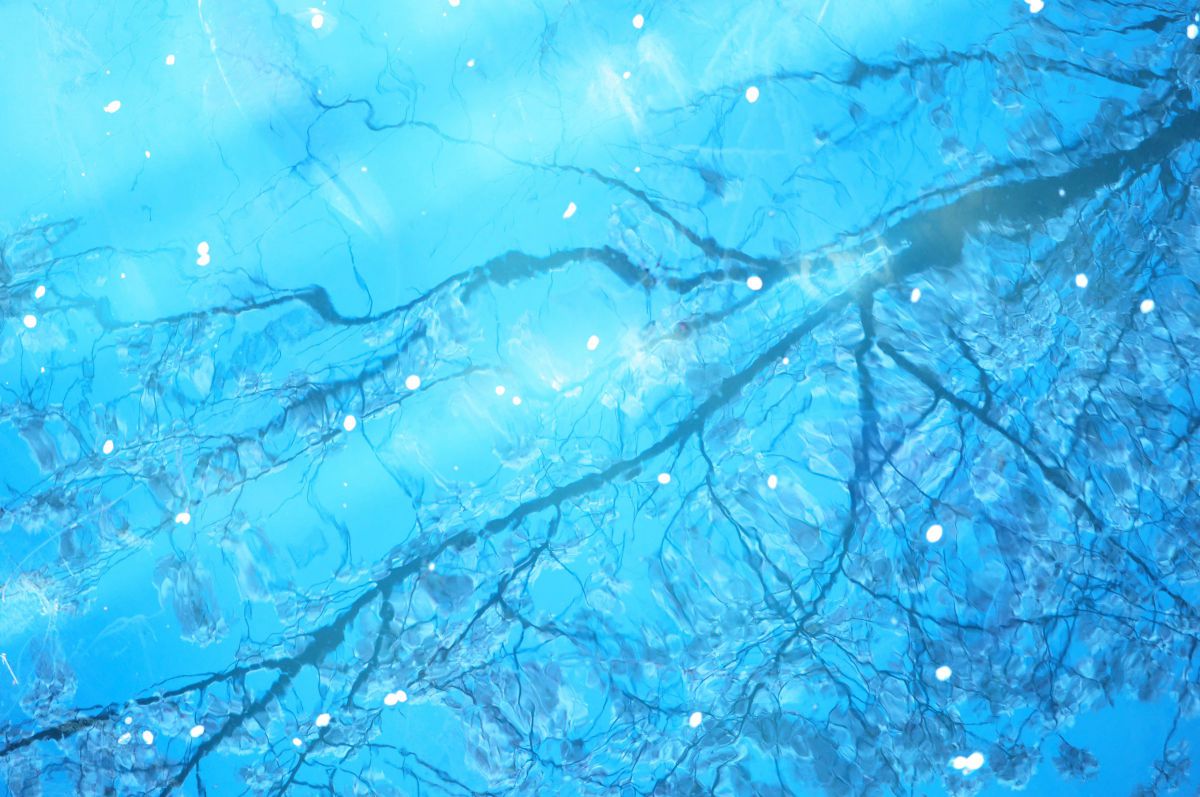 Spring blue | GANREF