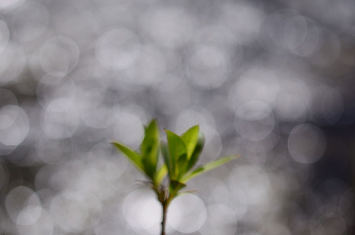 Out＋Focus | GANREF