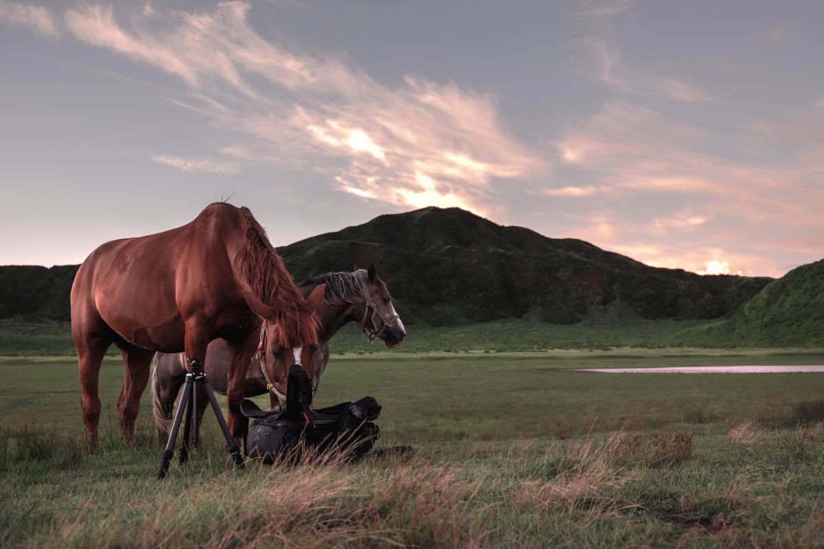 Oh my god !! | GANREF