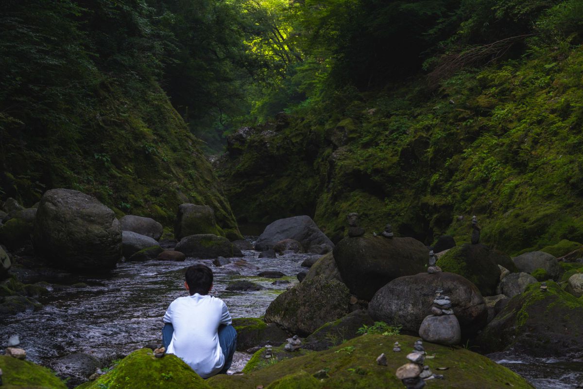 息子よ！ | GANREF