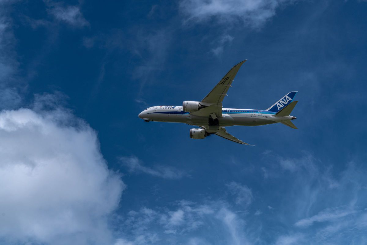 青空とANA | GANREF