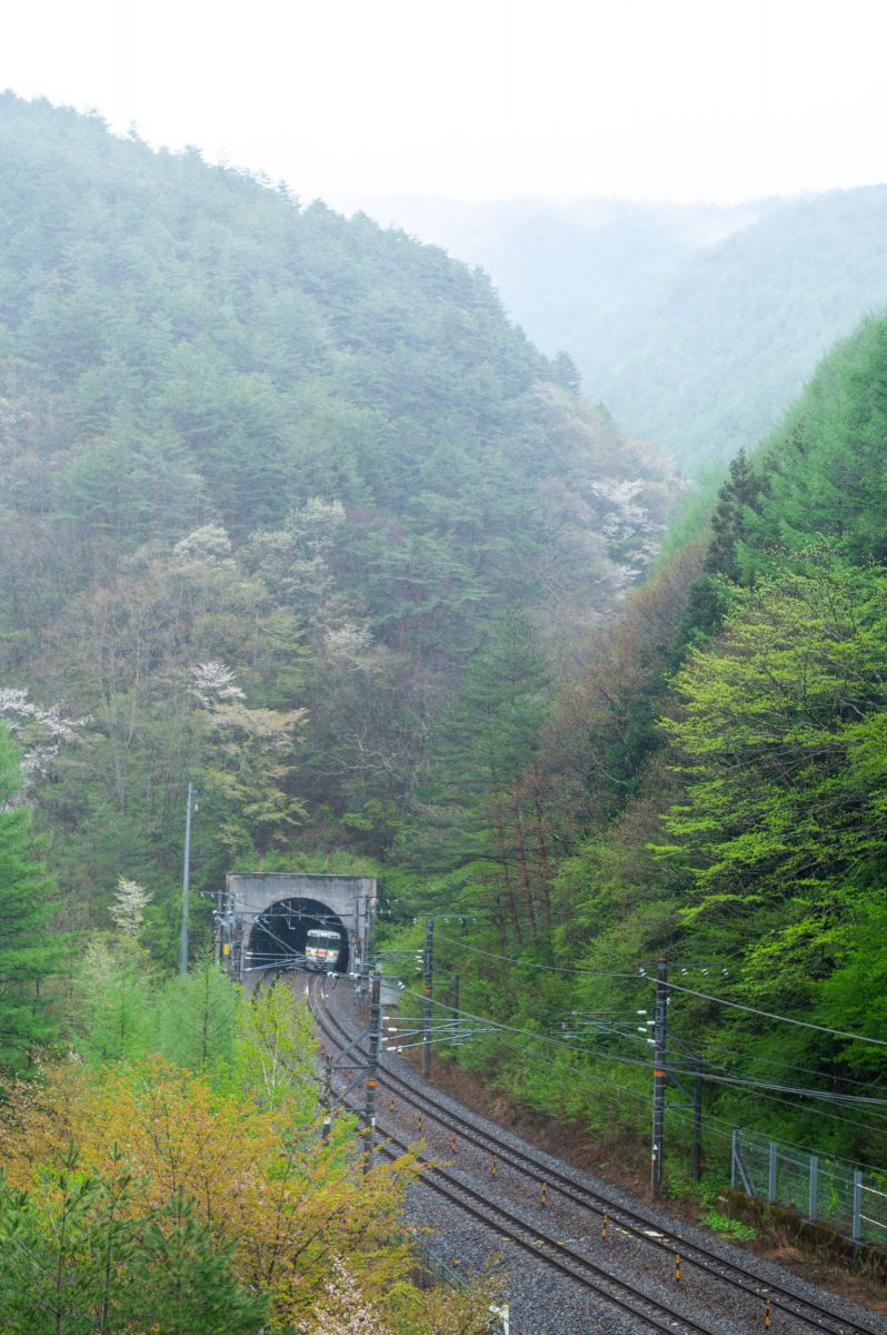 顔を出す | GANREF