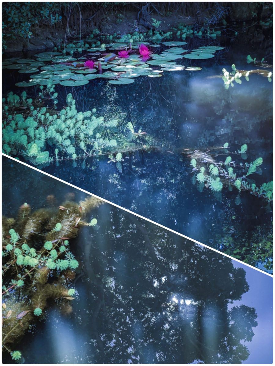 Reflection (iPhone） | GANREF