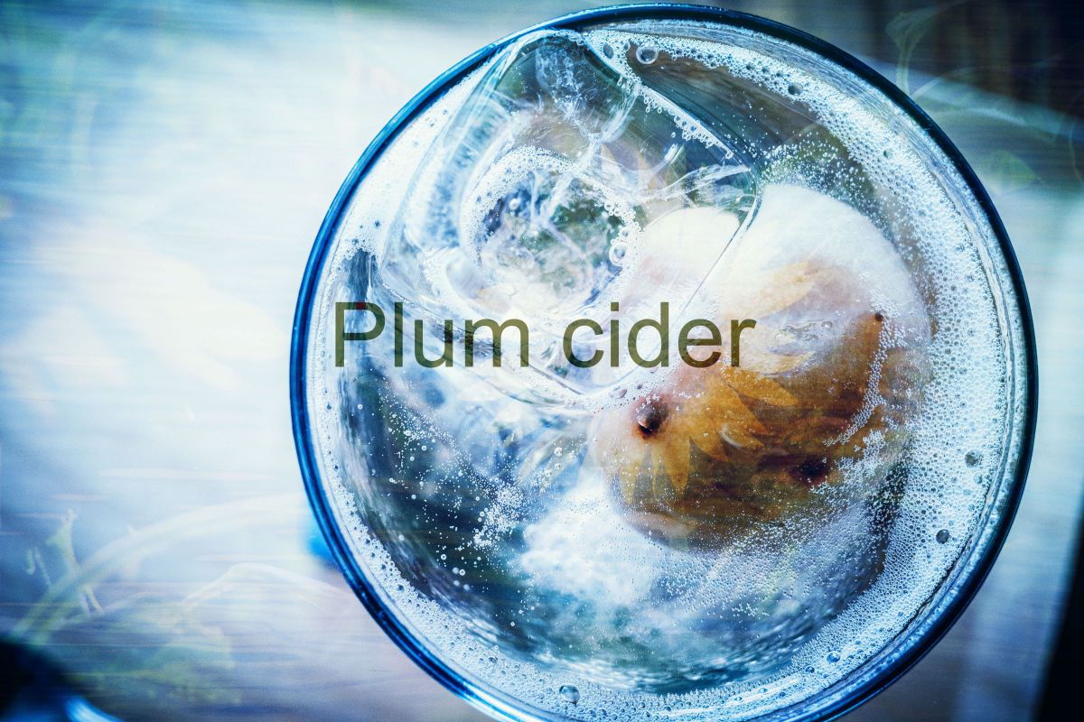 Plum cider | GANREF