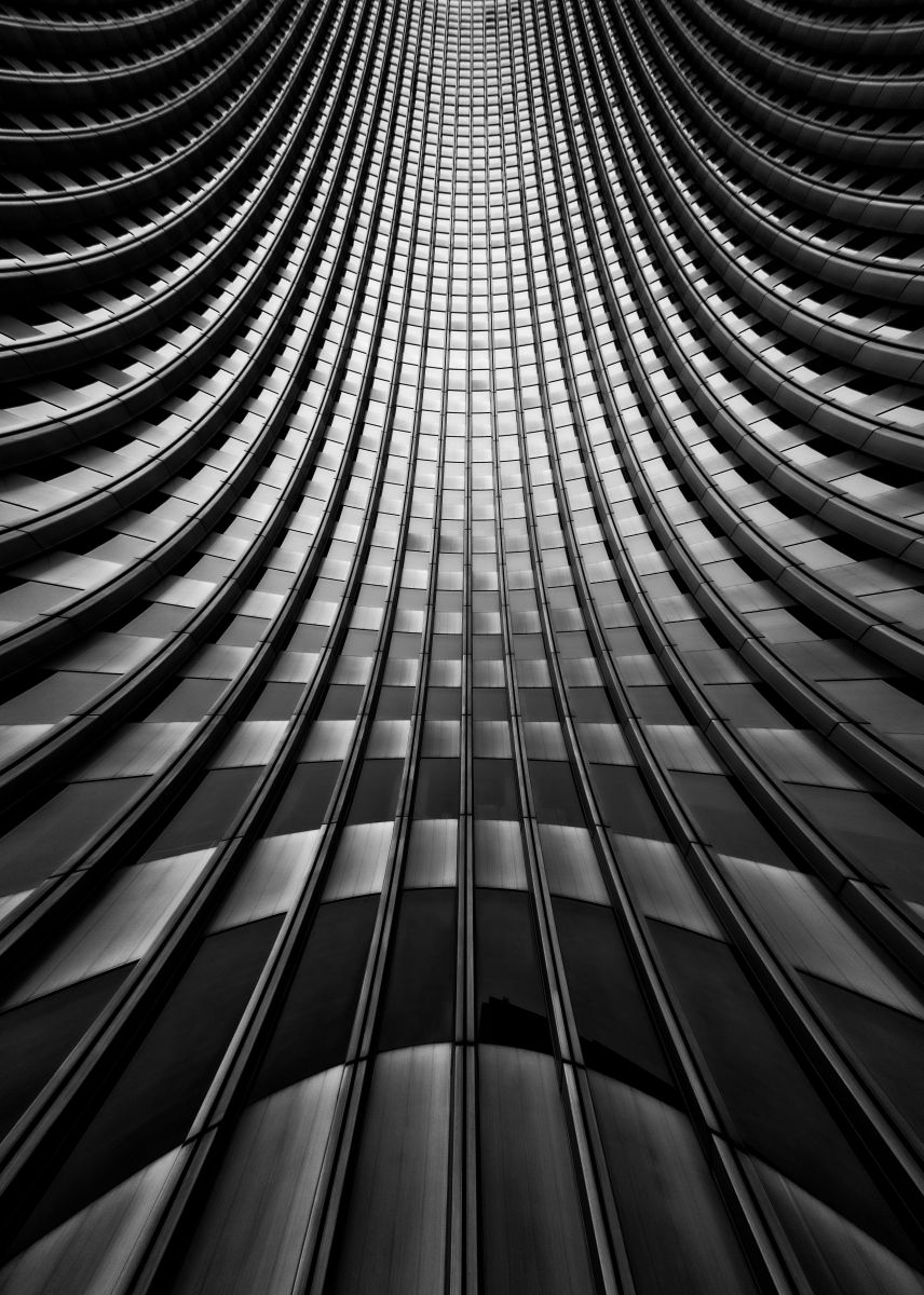 All distortion | GANREF