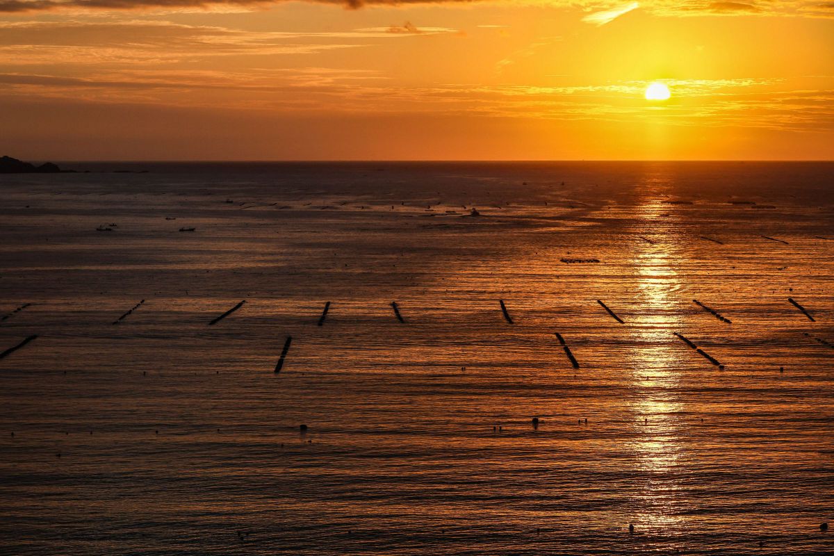 南三陸の海 | GANREF