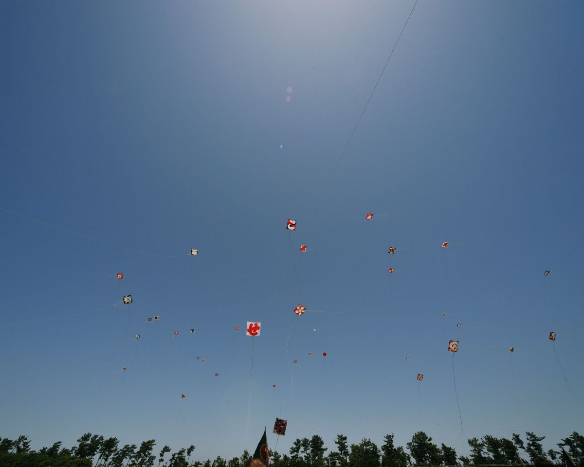 凧揚げ 008 | GANREF