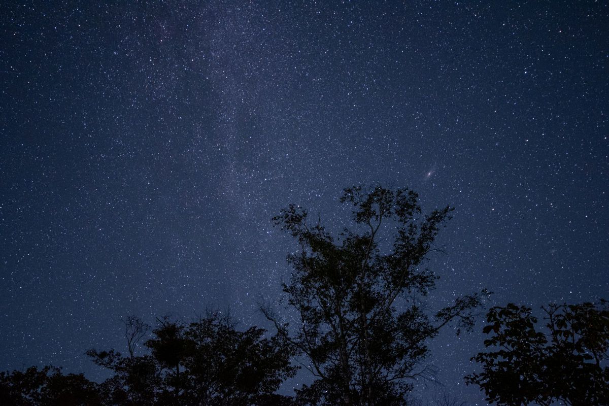 アンドロメダ.jpg | GANREF