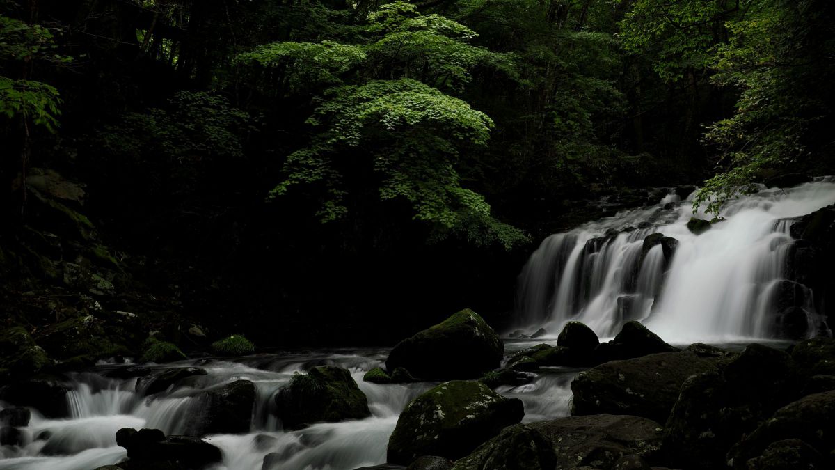 翳り陽の渓流 | GANREF