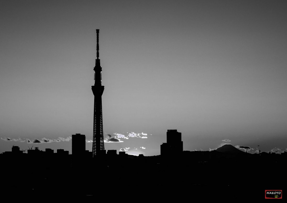 TOKYO SHADOW | GANREF