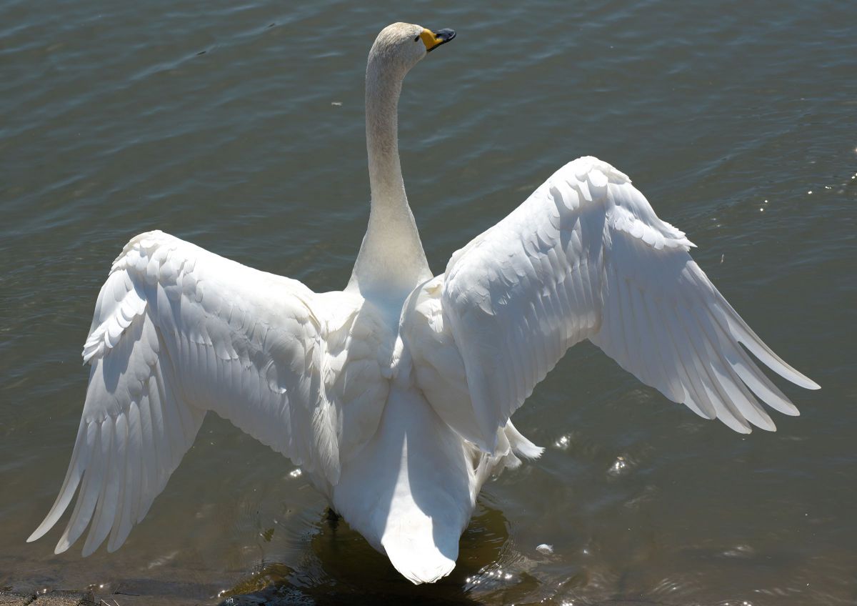 bye-bye.jpg | GANREF