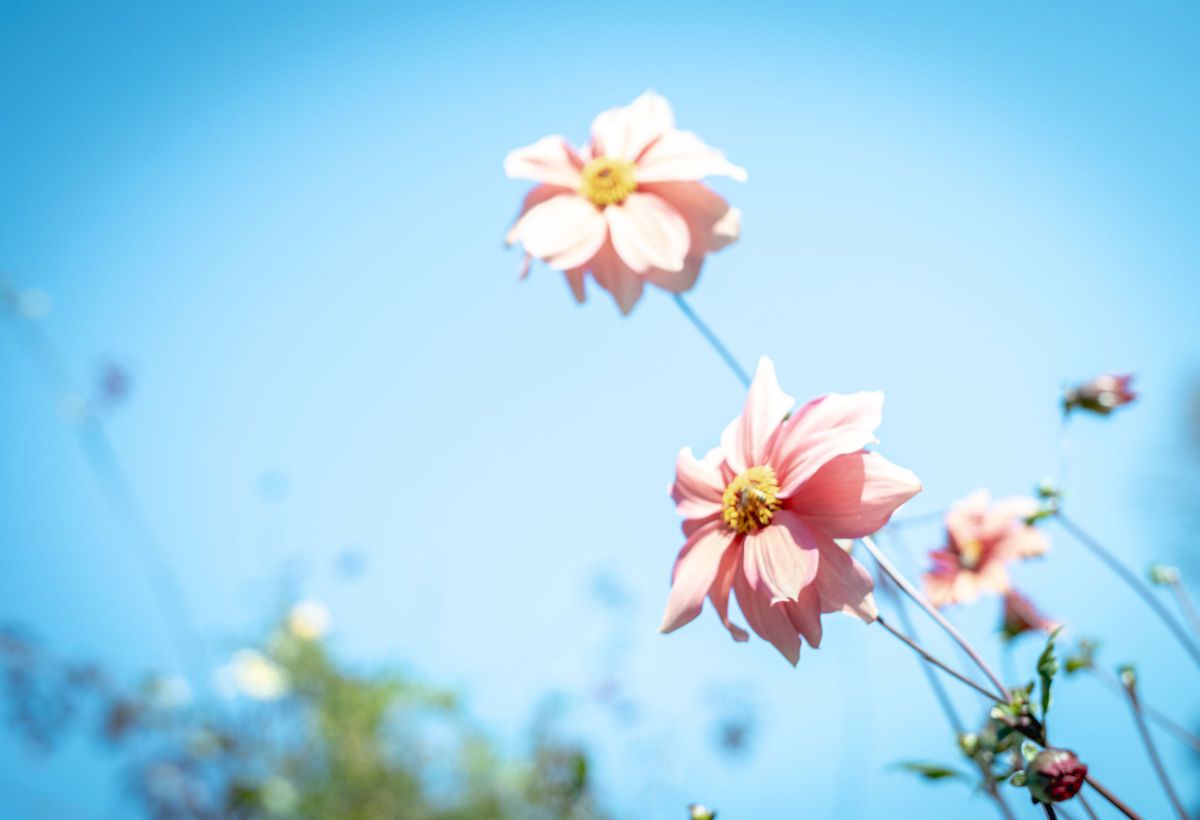 Feeling Good | GANREF