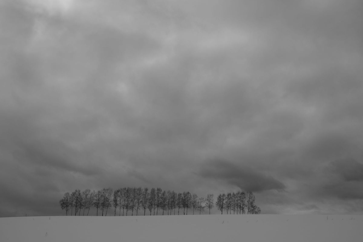 eternal beauty | GANREF