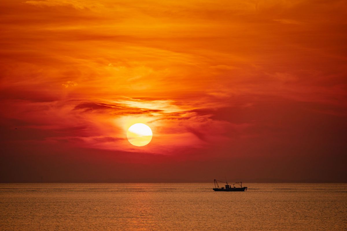 ガンバレNIPPON | GANREF