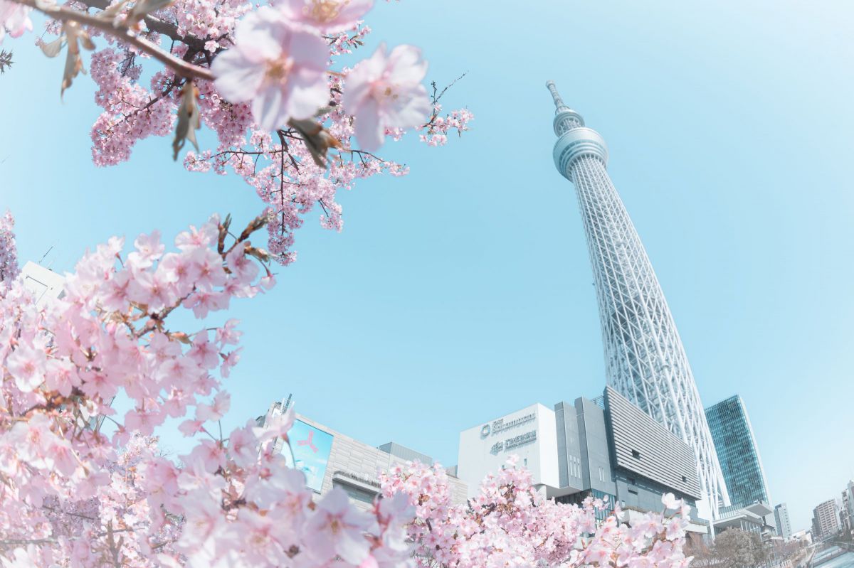 Spring time | GANREF