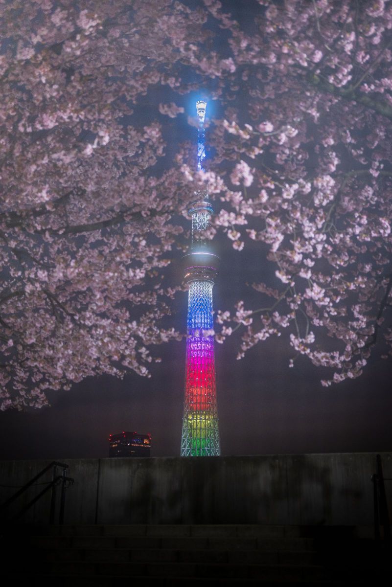 Joyful love | GANREF