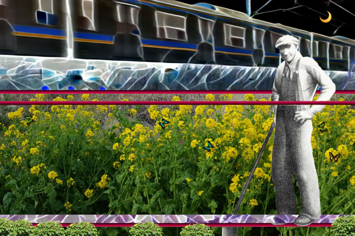 JR脇に咲く・・・菜の花 | GANREF