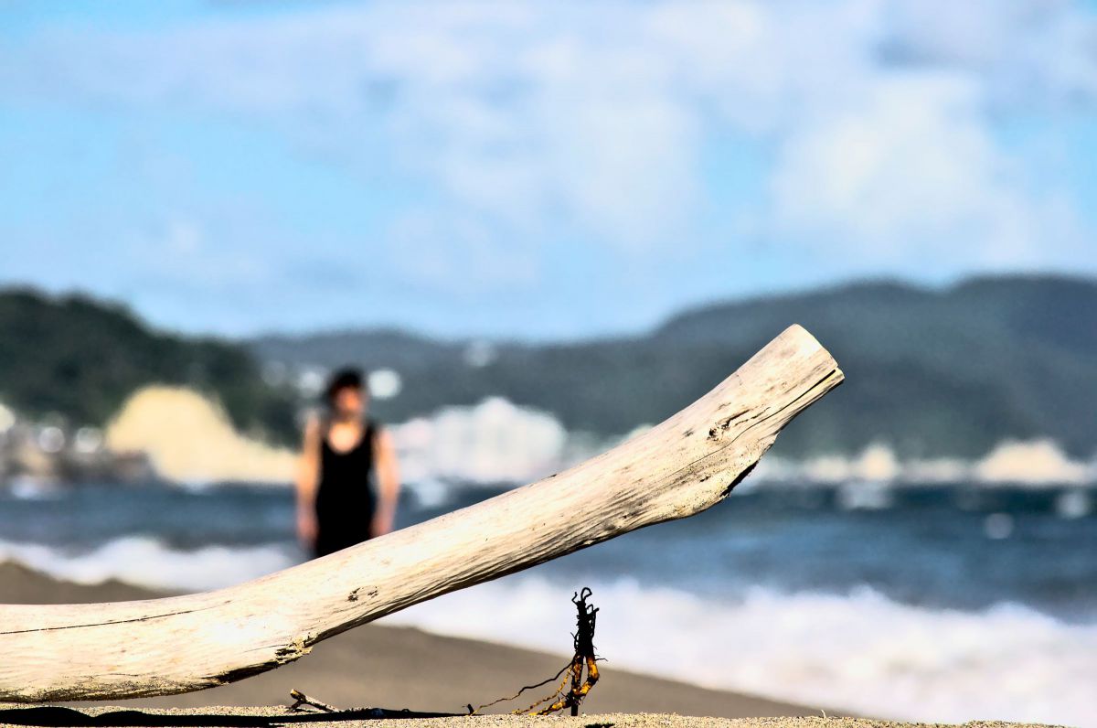 夏の海の少女 | GANREF