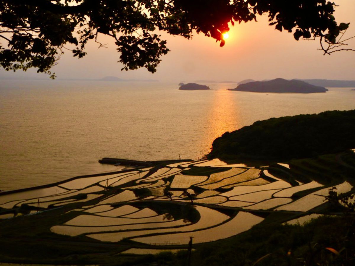 IMG_1299.jpeg | GANREF